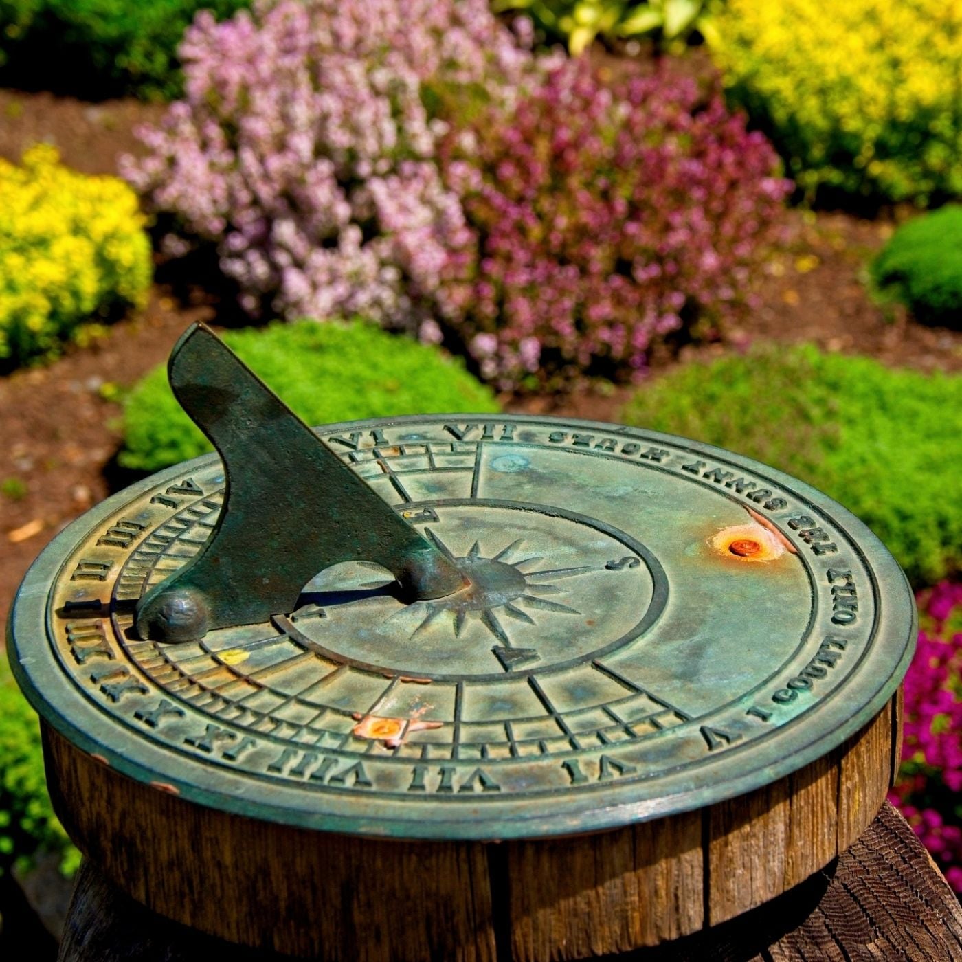 15 Creative Gardening Ideas | Montana Happy