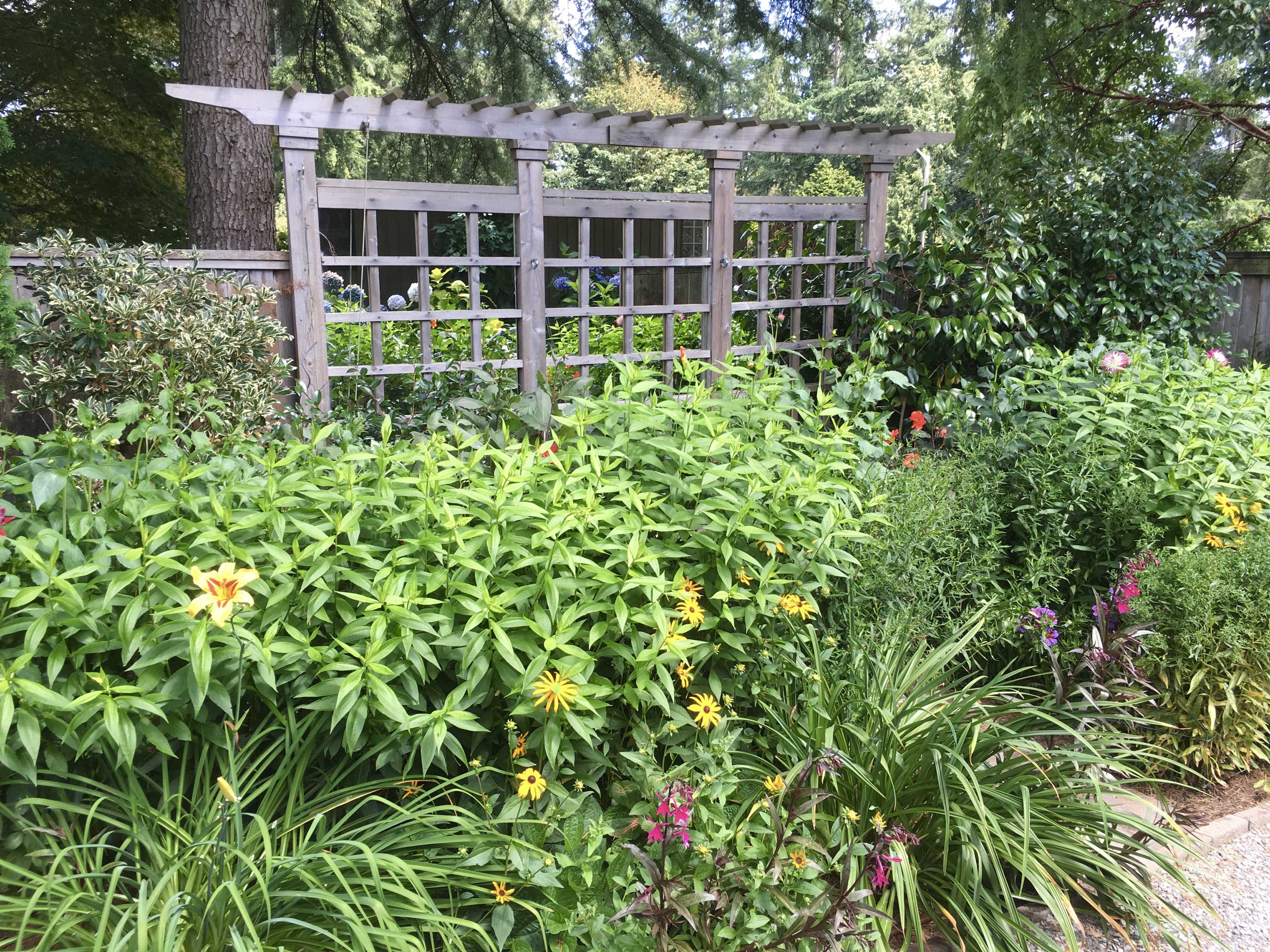 15 Creative Gardening Ideas | Montana Happy