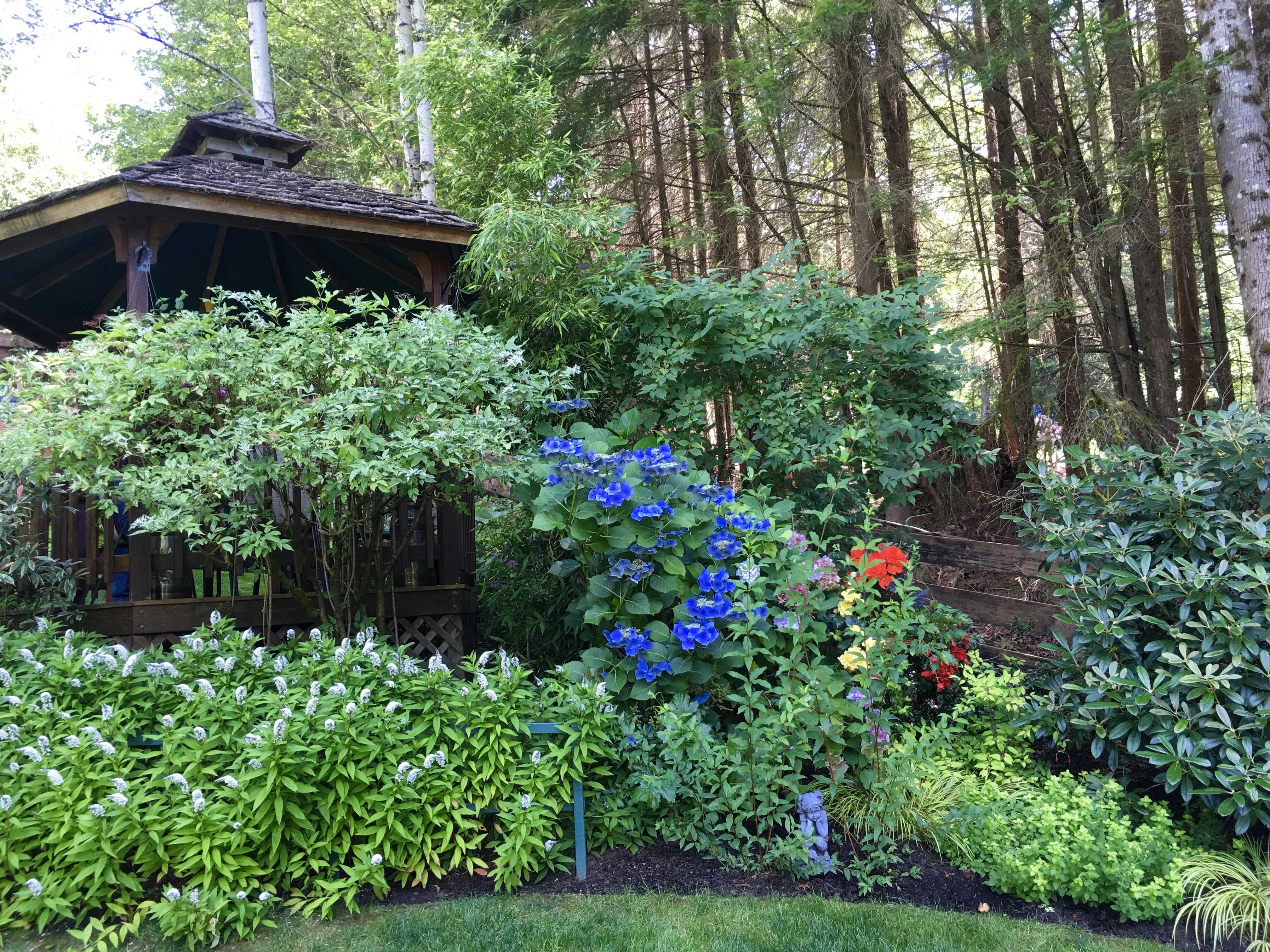 15 Creative Gardening Ideas | Montana Happy