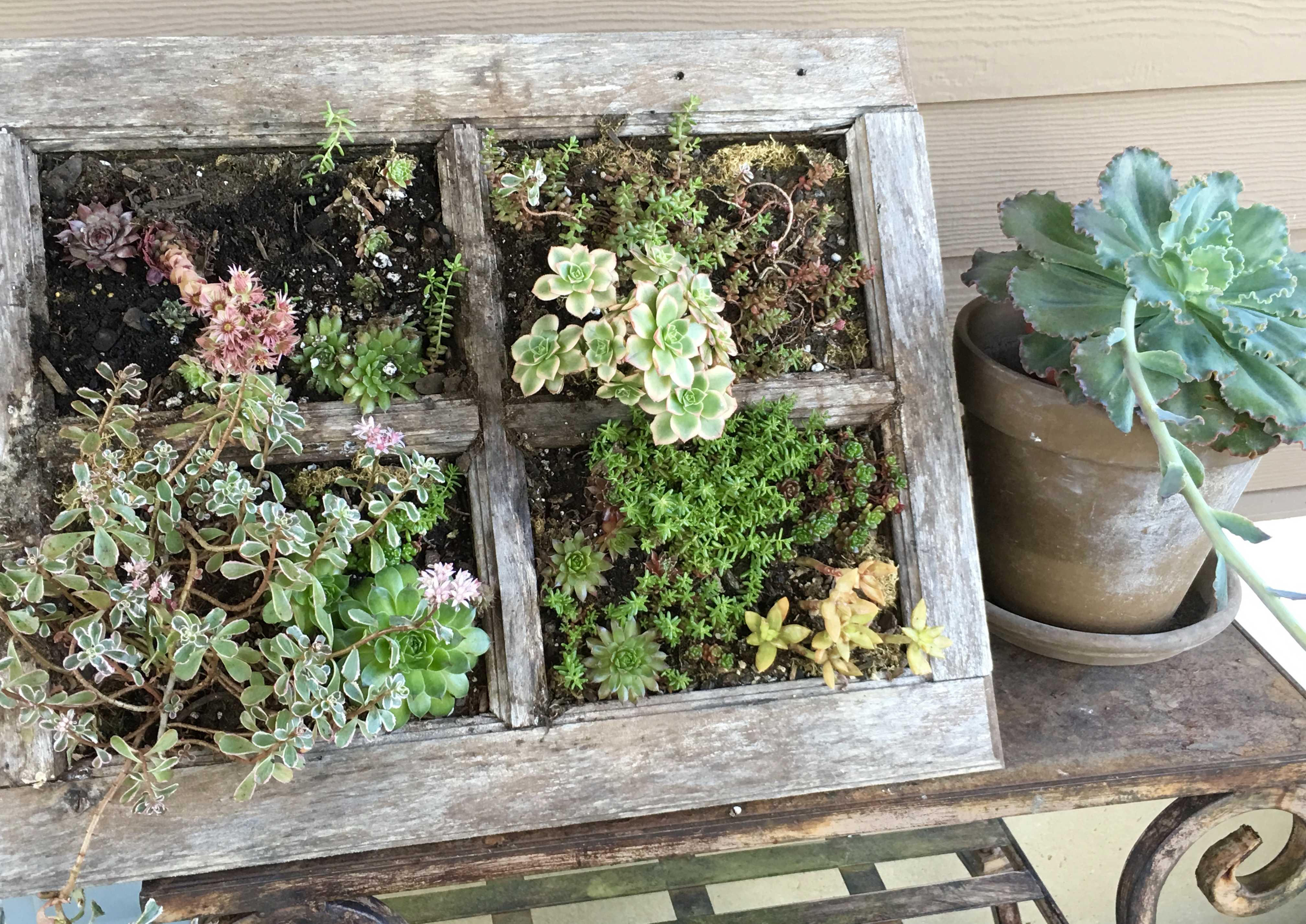 15 Creative Gardening Ideas | Montana Happy