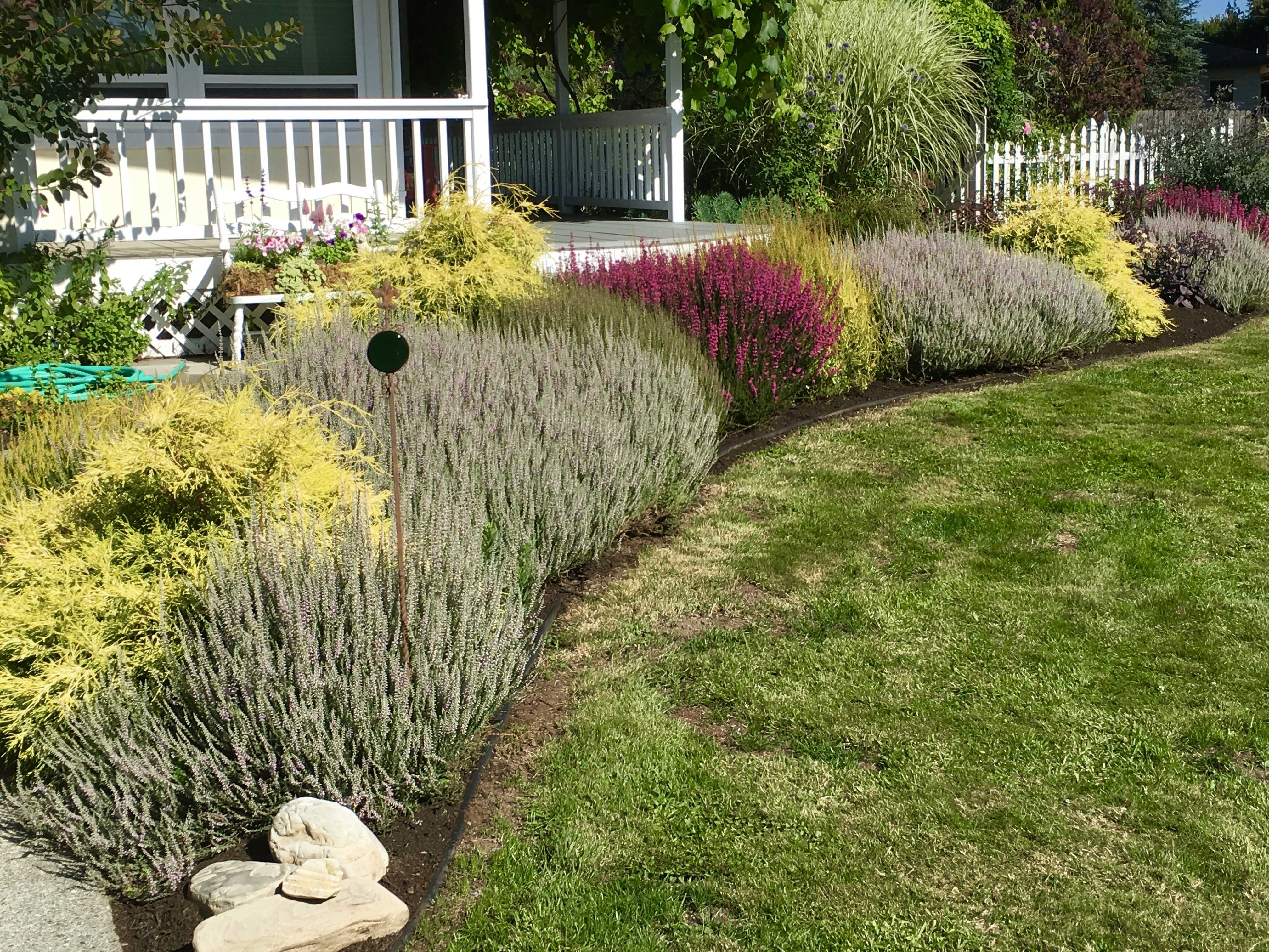 15 Creative Gardening Ideas | Montana Happy