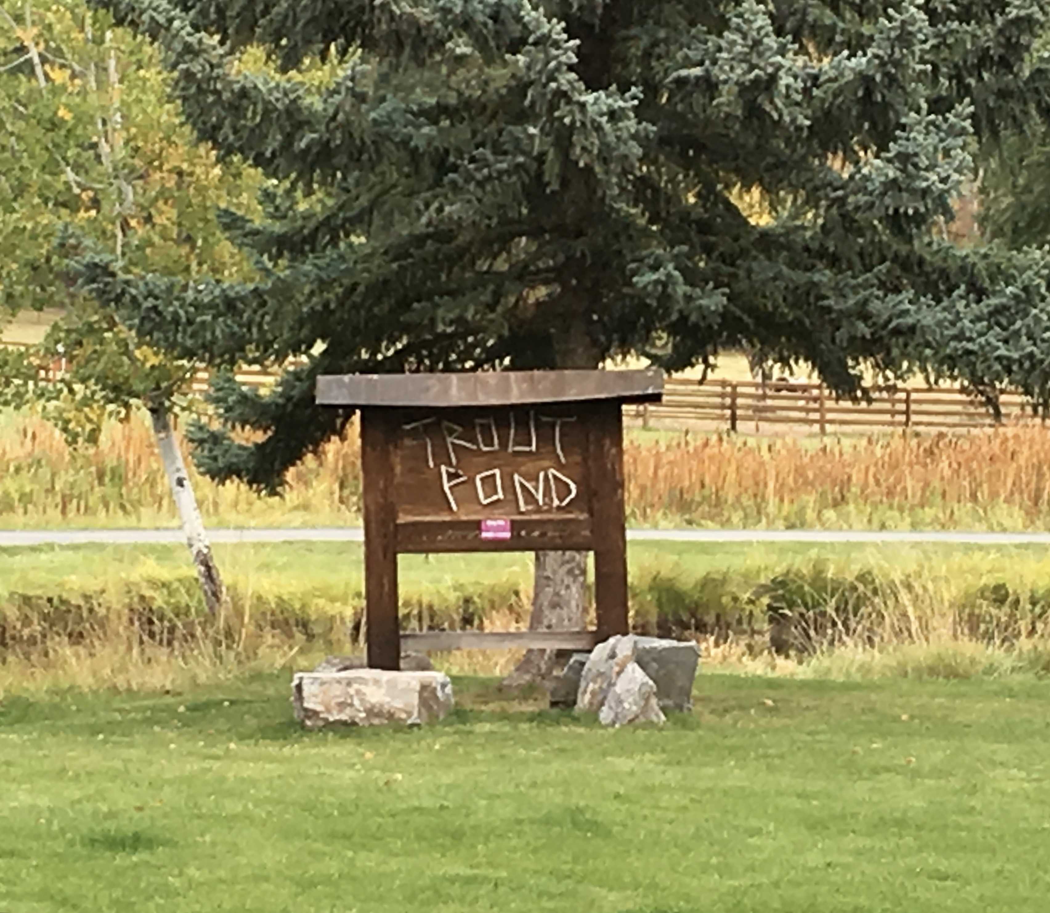 The Best Reasons to Visit Bigfork Montana | Montana Happy