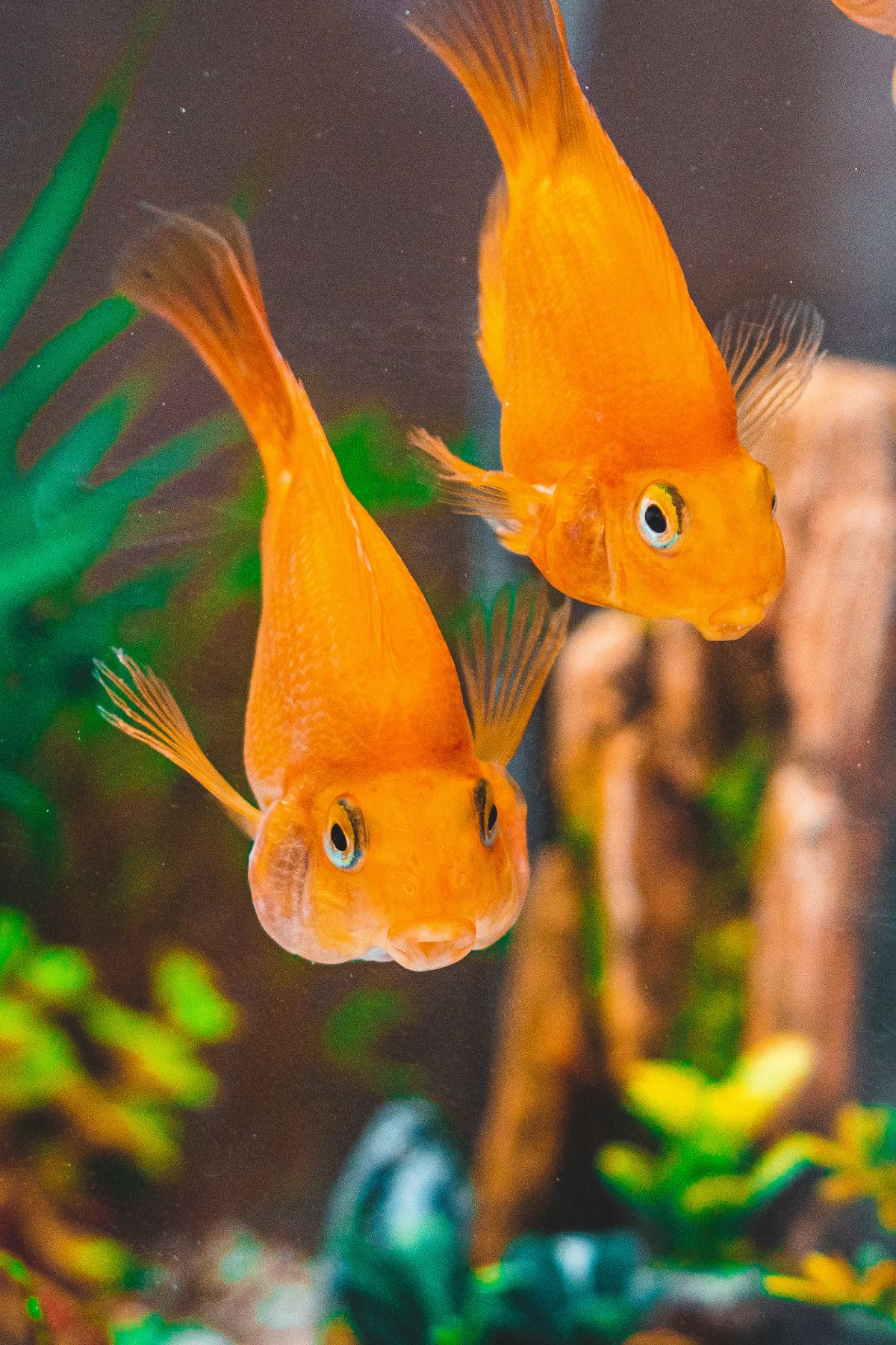 How to Hygge at Work - Cozy Office Ideas | Montana Happy