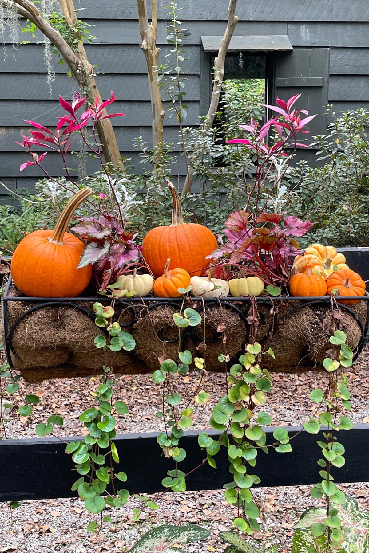 21 Cozy Fall Decor Ideas * Autumn Decorating | Montana Happy