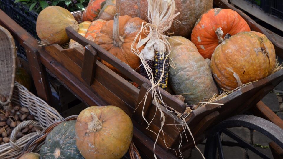 Simple Ways to Use Pumpkins, Squash, & Gourds in Fall Decor | Montana Happy