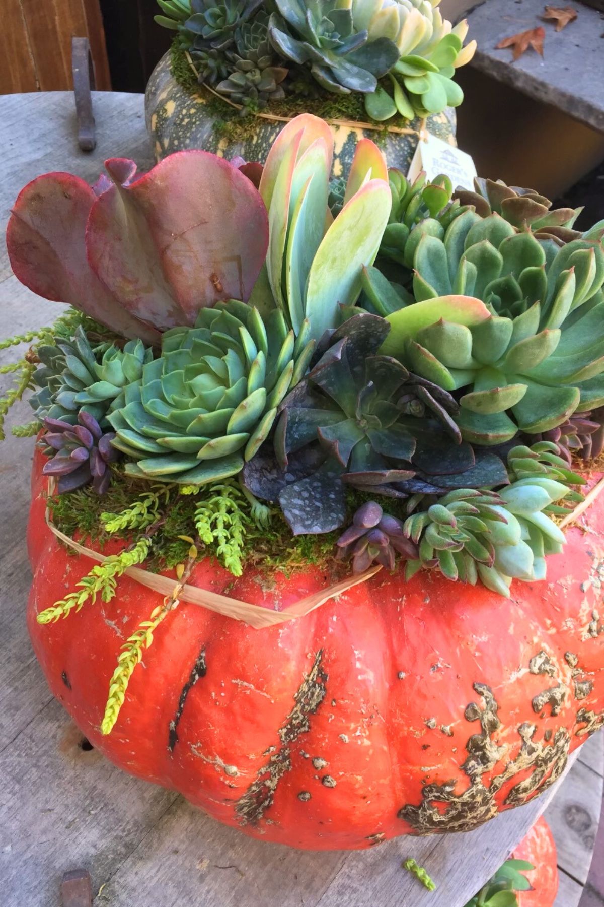 Simple Ways to Use Pumpkins, Squash, & Gourds in Fall Decor | Montana Happy