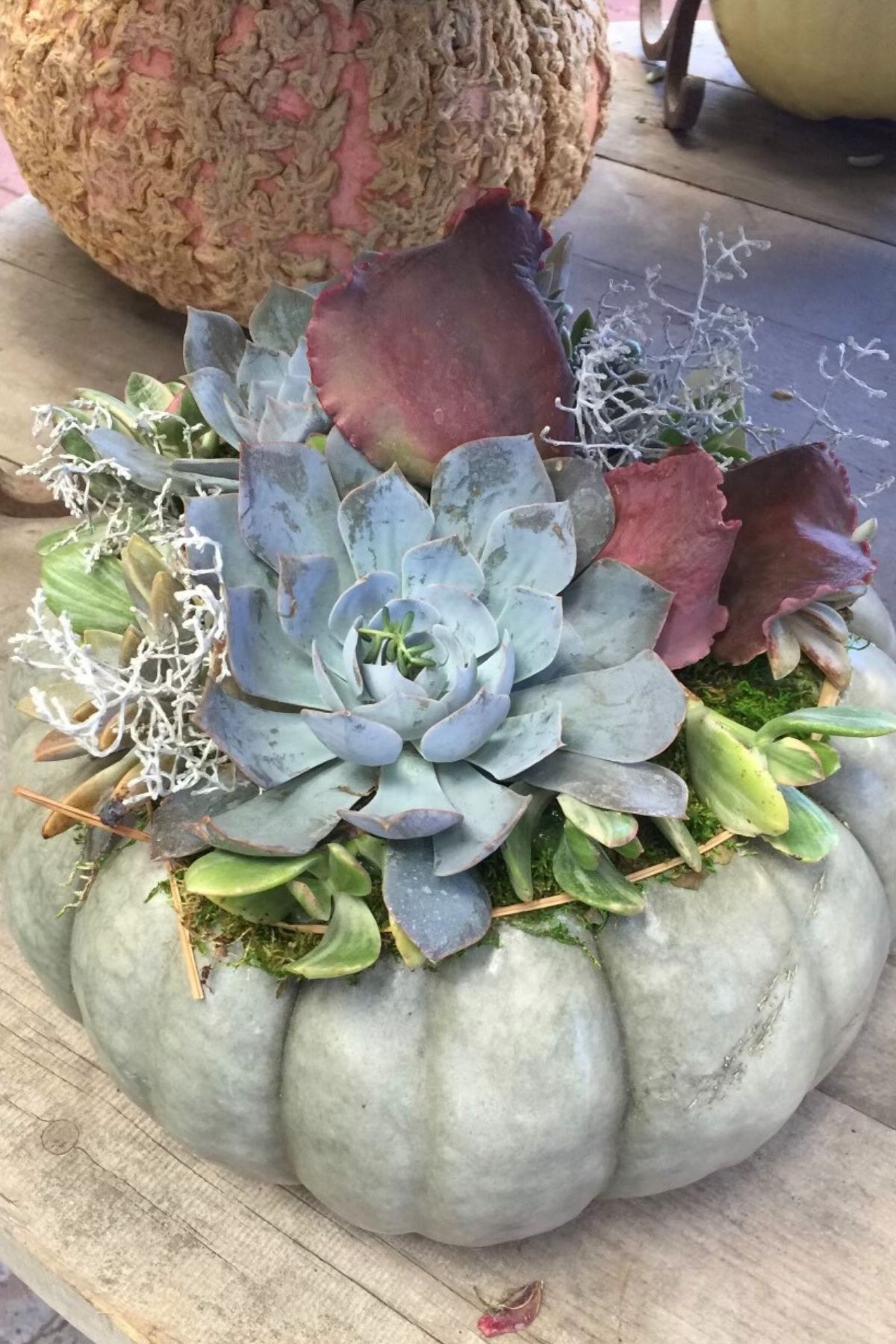 Simple Ways to Use Pumpkins, Squash, & Gourds in Fall Decor | Montana Happy