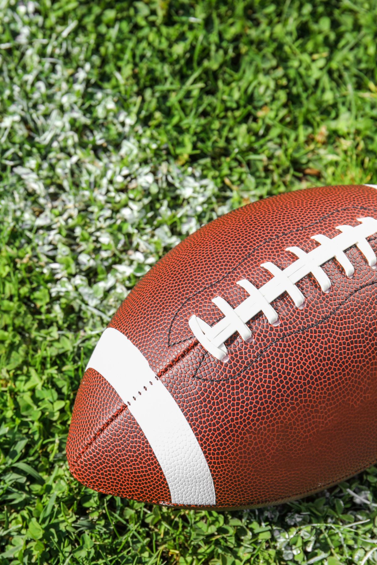 THE BEST Thanksgiving Traditions for 2024 | Montana Happy