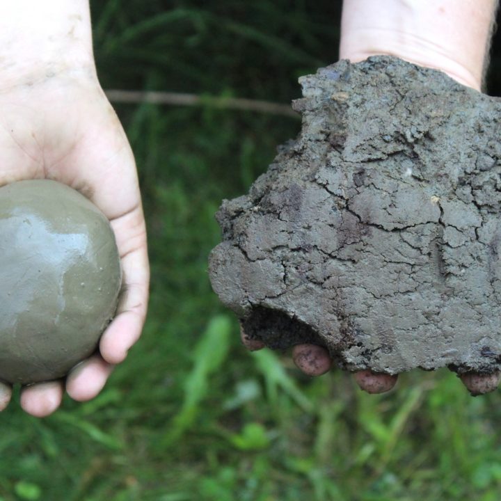 Easy DIY Nature Crafts to Try | Montana Happy