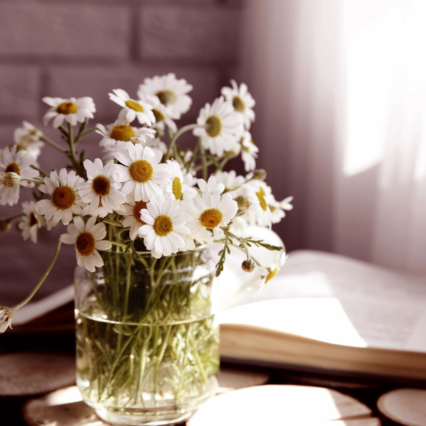 13 Ways to Create a PEACEFUL Home | Montana Happy