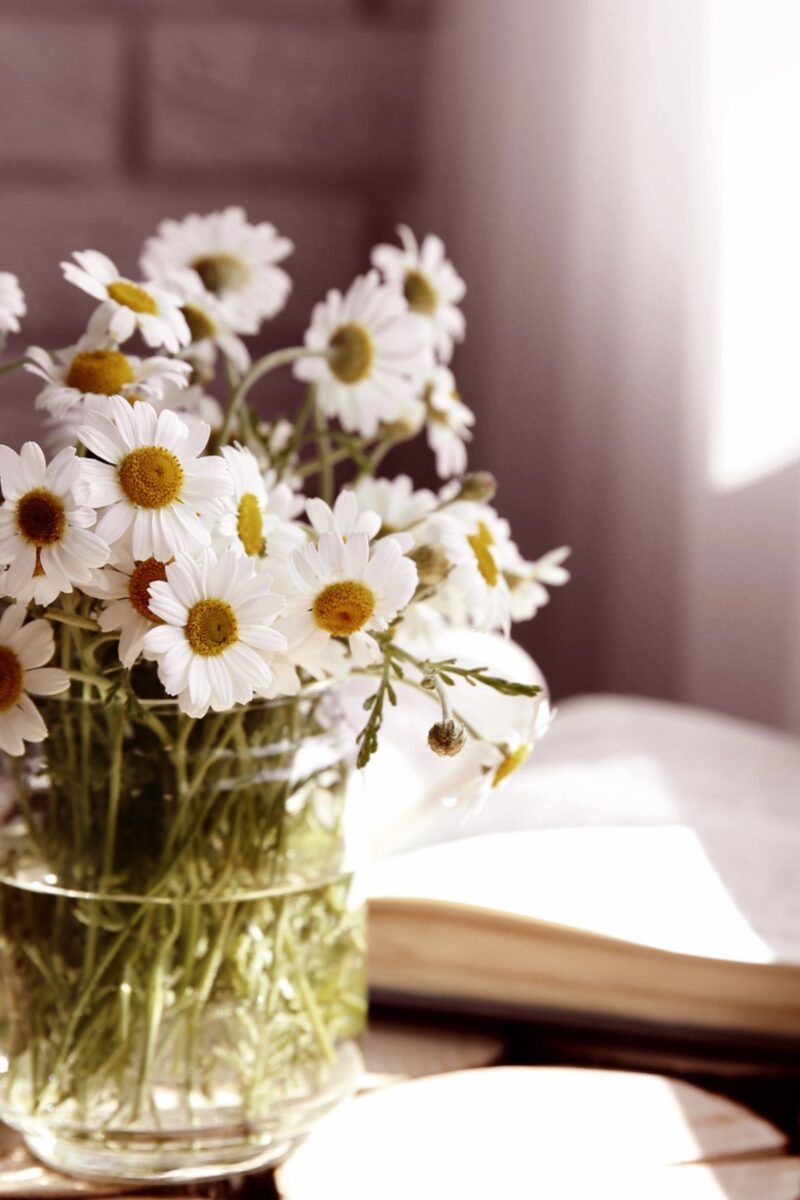 13 Ways to Create a PEACEFUL Home | Montana Happy