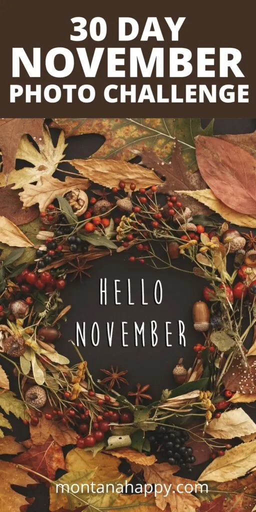 November Photo Challenge
