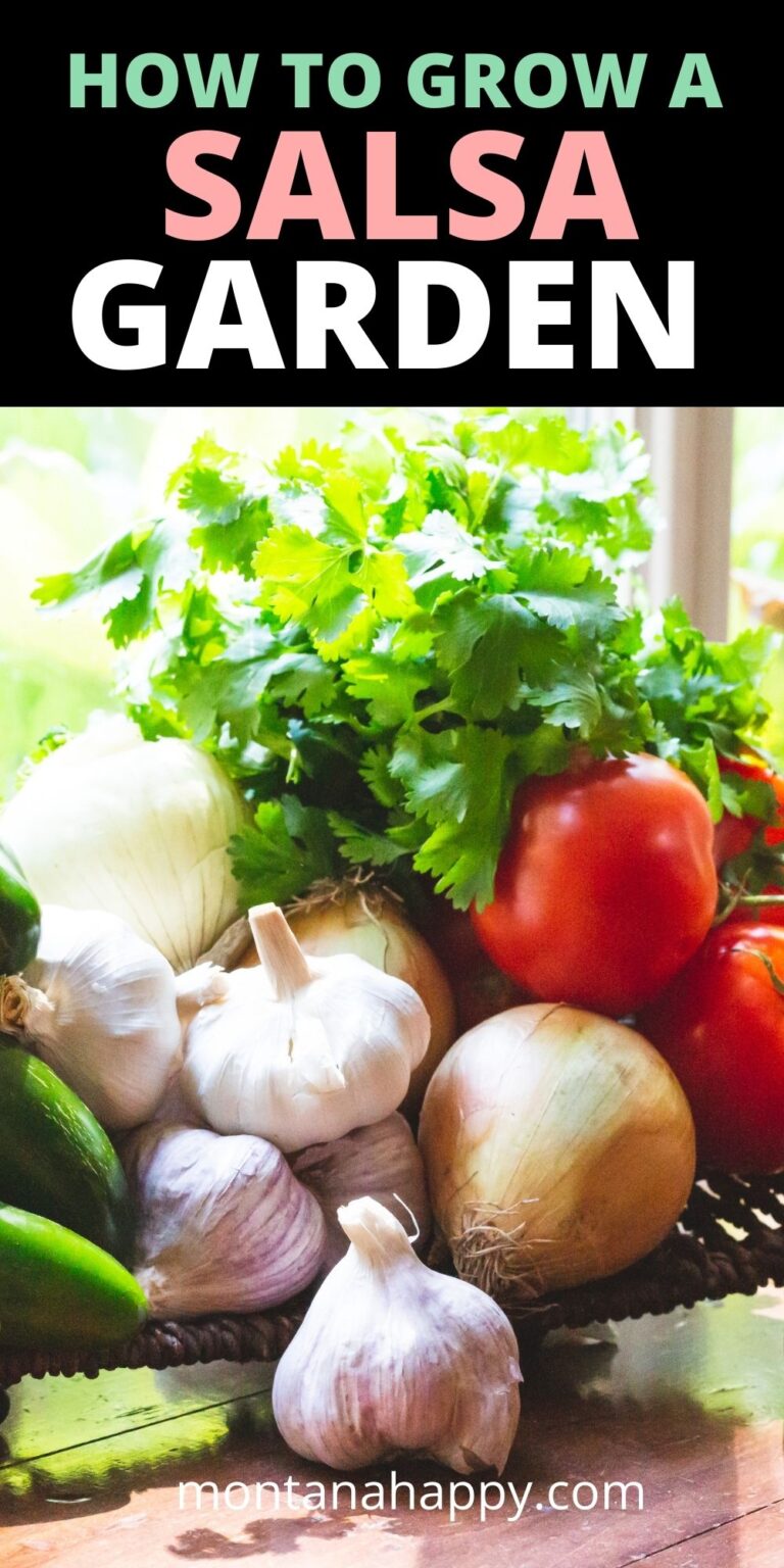 How To Grow a Salsa Garden - EASY TIPS! | Montana Happy