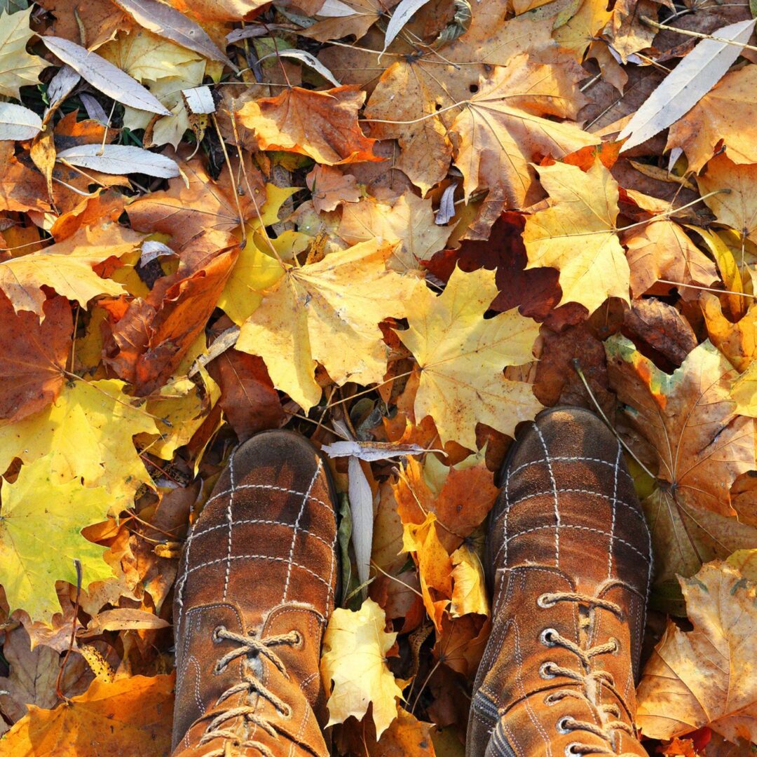 30 Day November Aesthetic Photo Challenge | Montana Happy