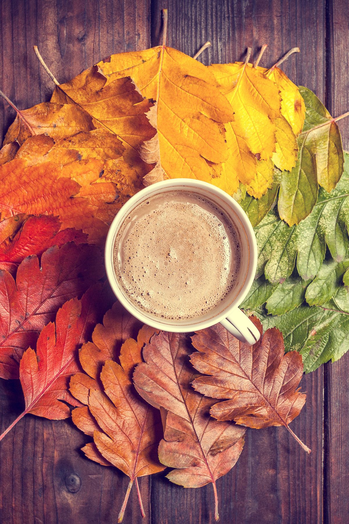 30 Day November Aesthetic Photo Challenge | Montana Happy