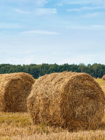 30 Day November Aesthetic Photo Challenge | Montana Happy