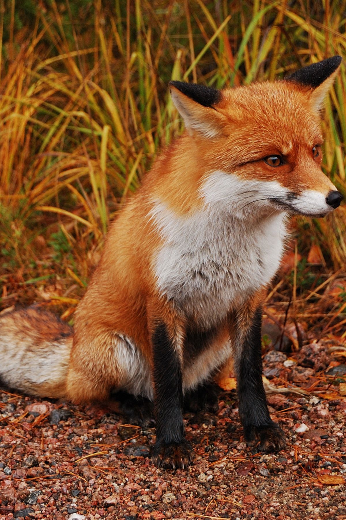 30 Day November Aesthetic Photo Challenge | Montana Happy