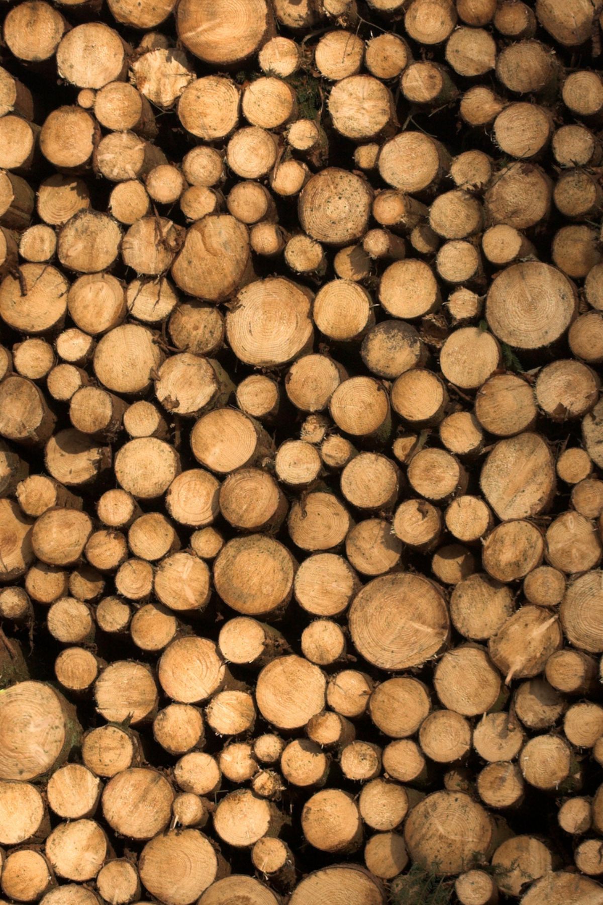 30 Day November Aesthetic Photo Challenge | Montana Happy