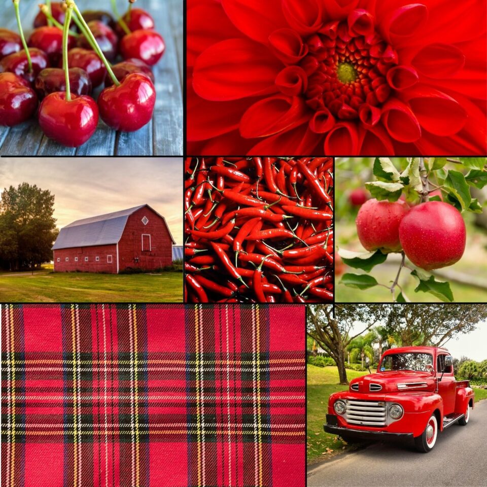 30 Day Red Aesthetic Country Living Photo Challenge | Montana Happy