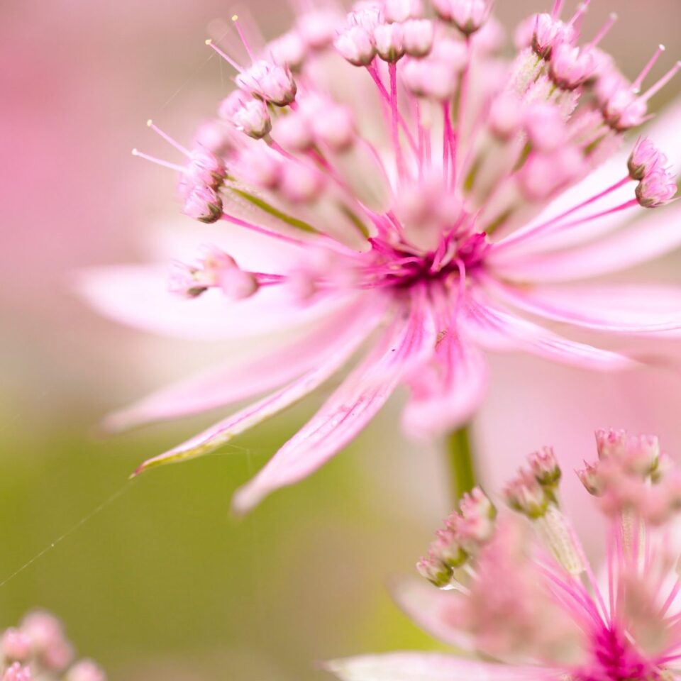 The BEST 55 Simple Pleasures in Life for 2023 | Montana Happy