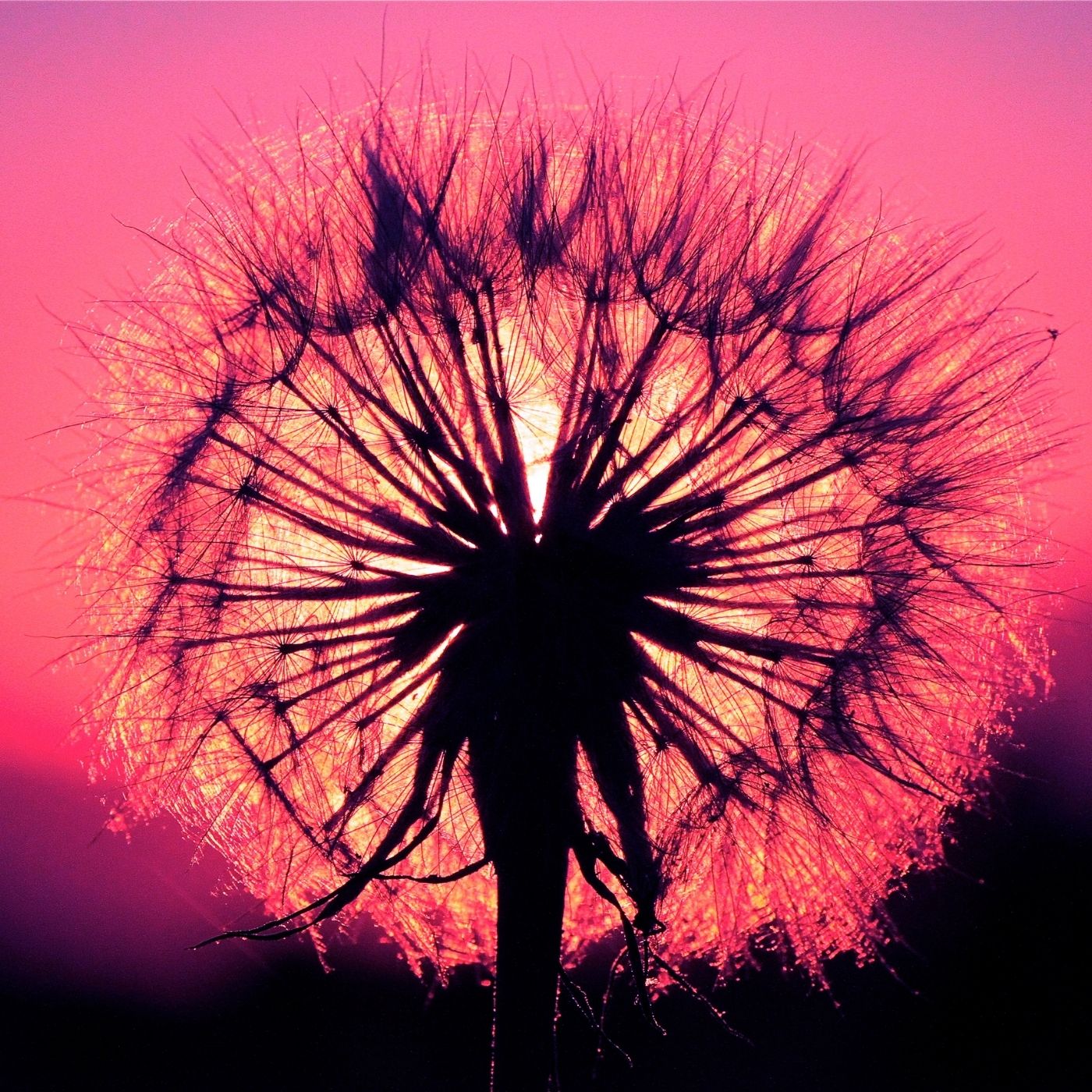 The BEST 55 Simple Pleasures in Life for 2025 | Montana Happy