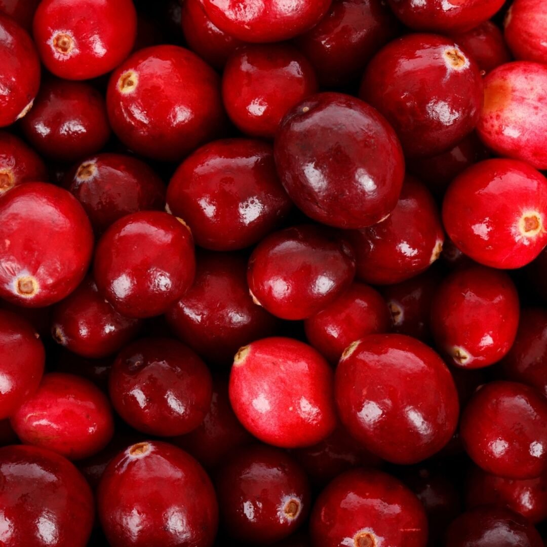 THE BEST Fresh Cranberry Relish Recipe | Montana Happy