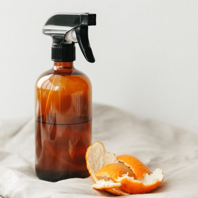 What to do with Orange Peels? 25 IDEAS!! | Montana Happy