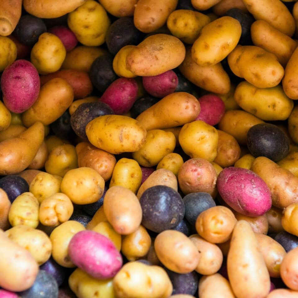 31 EASY Ways to Add Flavor to Mashed Potatoes | Montana Happy