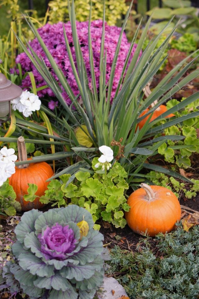 The Best Garden Themes You'll Love! | Montana Happy