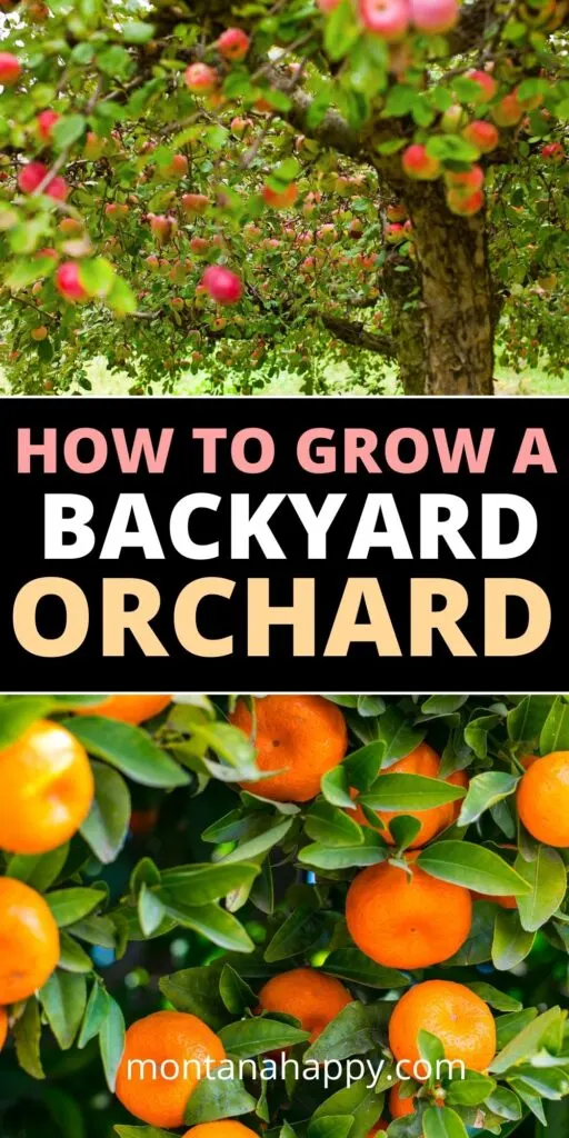 Planning Your Backyard Orchard – 2023 - Montana Happy