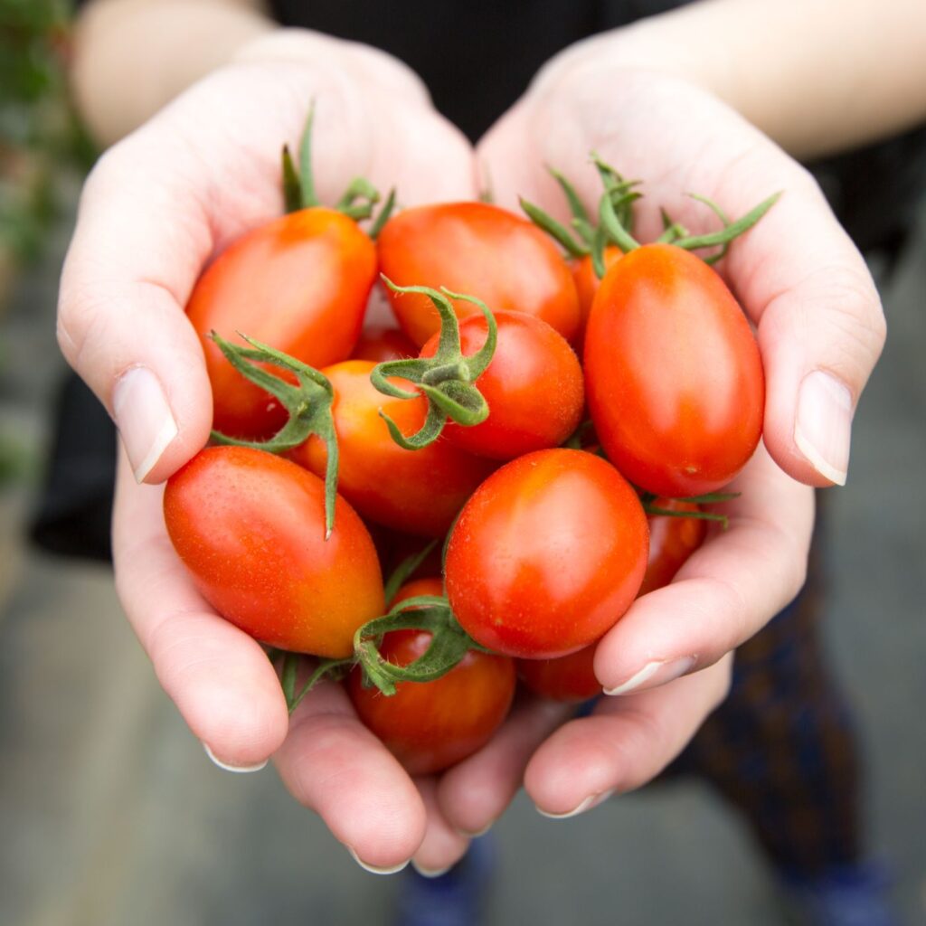 How to Start a Victory Garden - GREAT IDEAS!! | Montana Happy