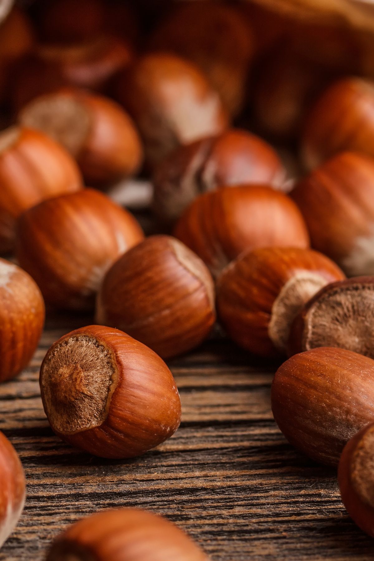 18 BEST Fall Scents Everyone LOVES! | Montana Happy