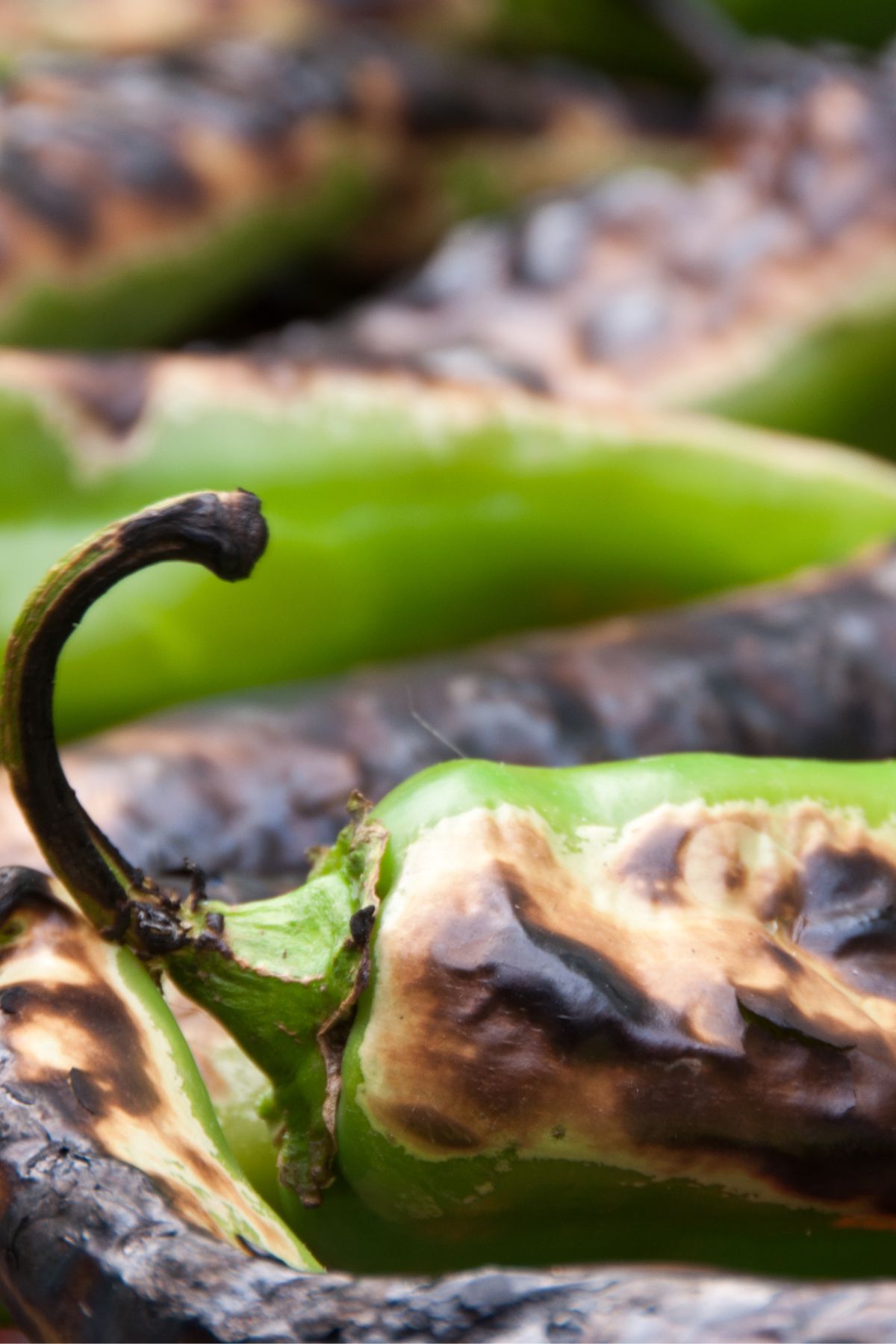 18 BEST Fall Scents Everyone LOVES! | Montana Happy