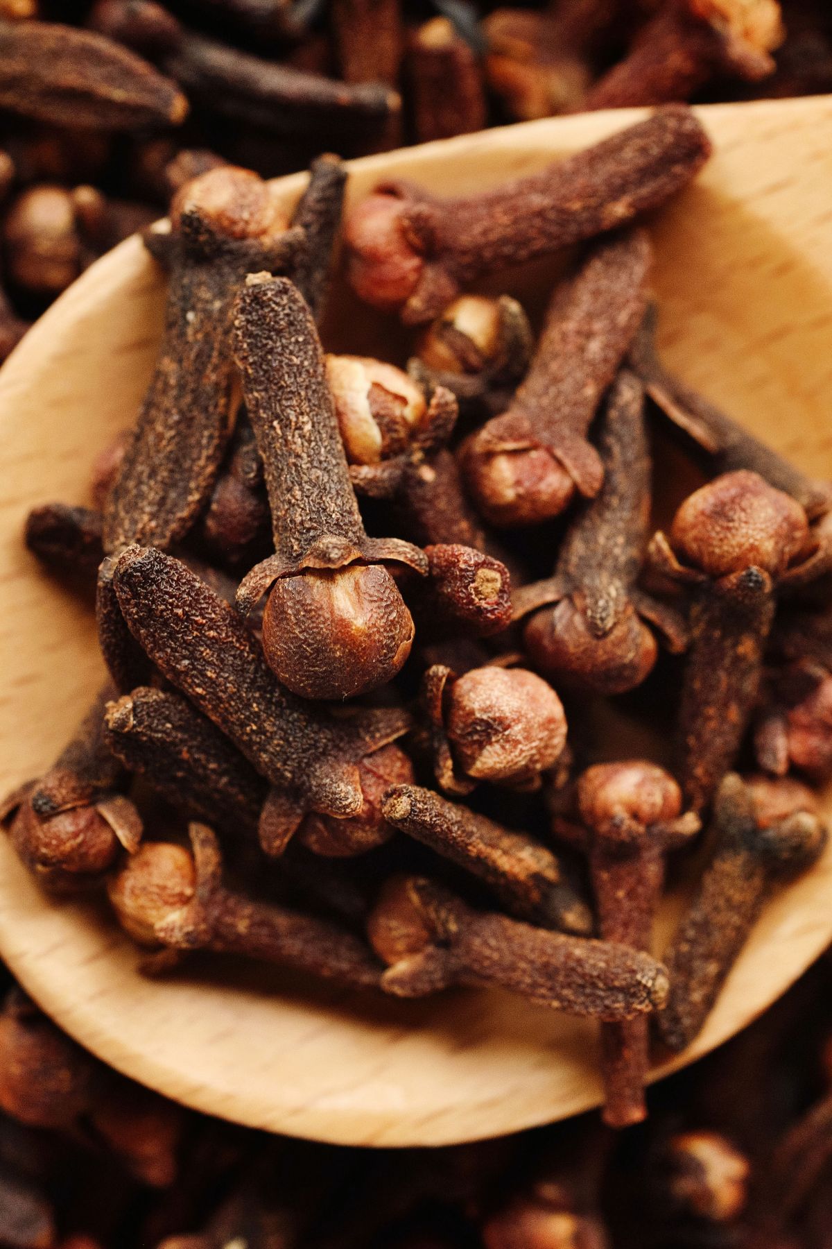 18 BEST Fall Scents Everyone LOVES! | Montana Happy