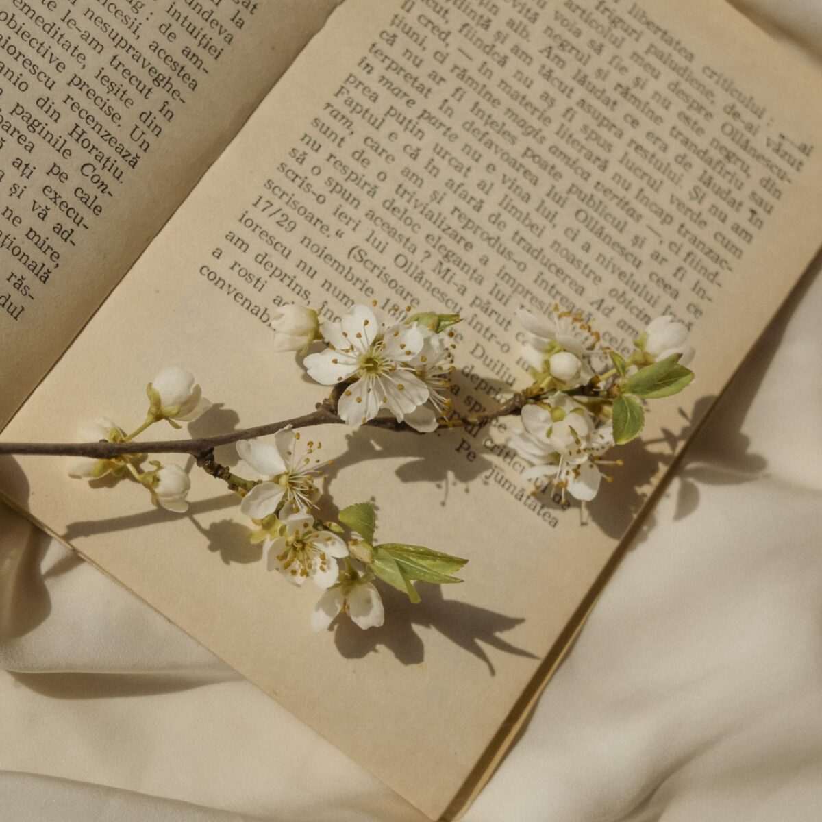 31 Hygge Quotes to Change Your Life | Montana Happy