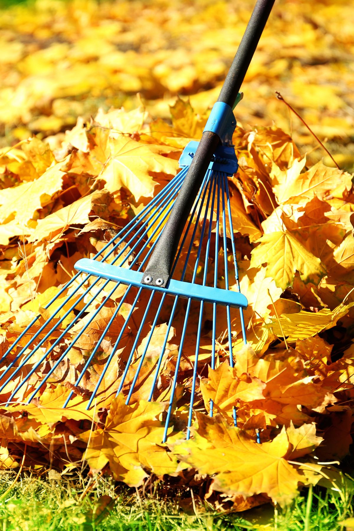 18 BEST Fall Scents Everyone LOVES! | Montana Happy