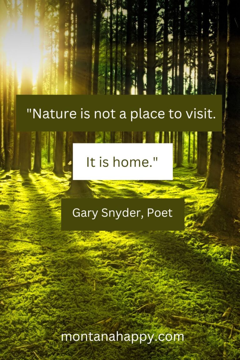 24 BEST Simple Life Quotes for 2023 | Montana Happy