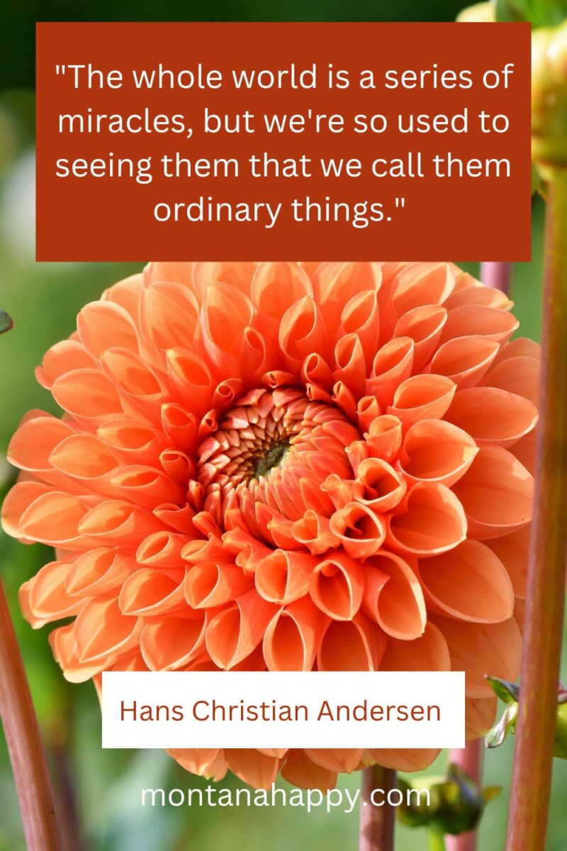 The 24 BEST Simple Life Quotes for 2023 - Montana Happy