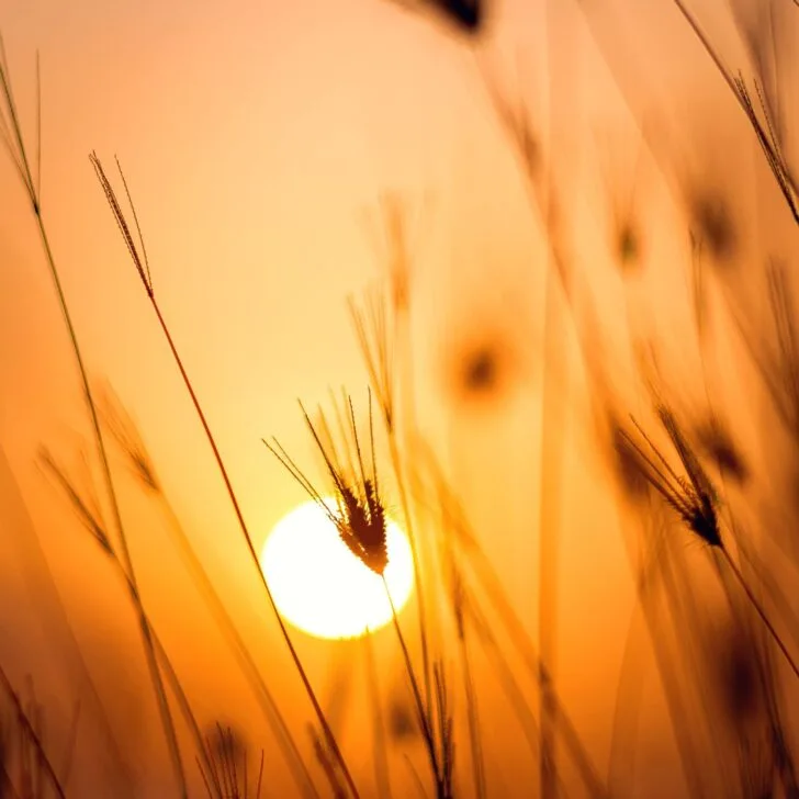 Slowing Down to Create a LIFE You LOVE!! - Montana Happy