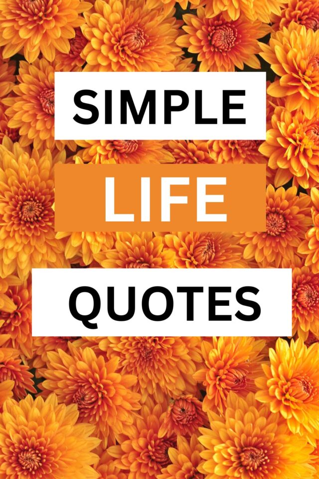24 BEST Simple Life Quotes for 2026 | Montana Happy