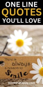 101 of The BEST One Line Quotes to Memorize | Montana Happy