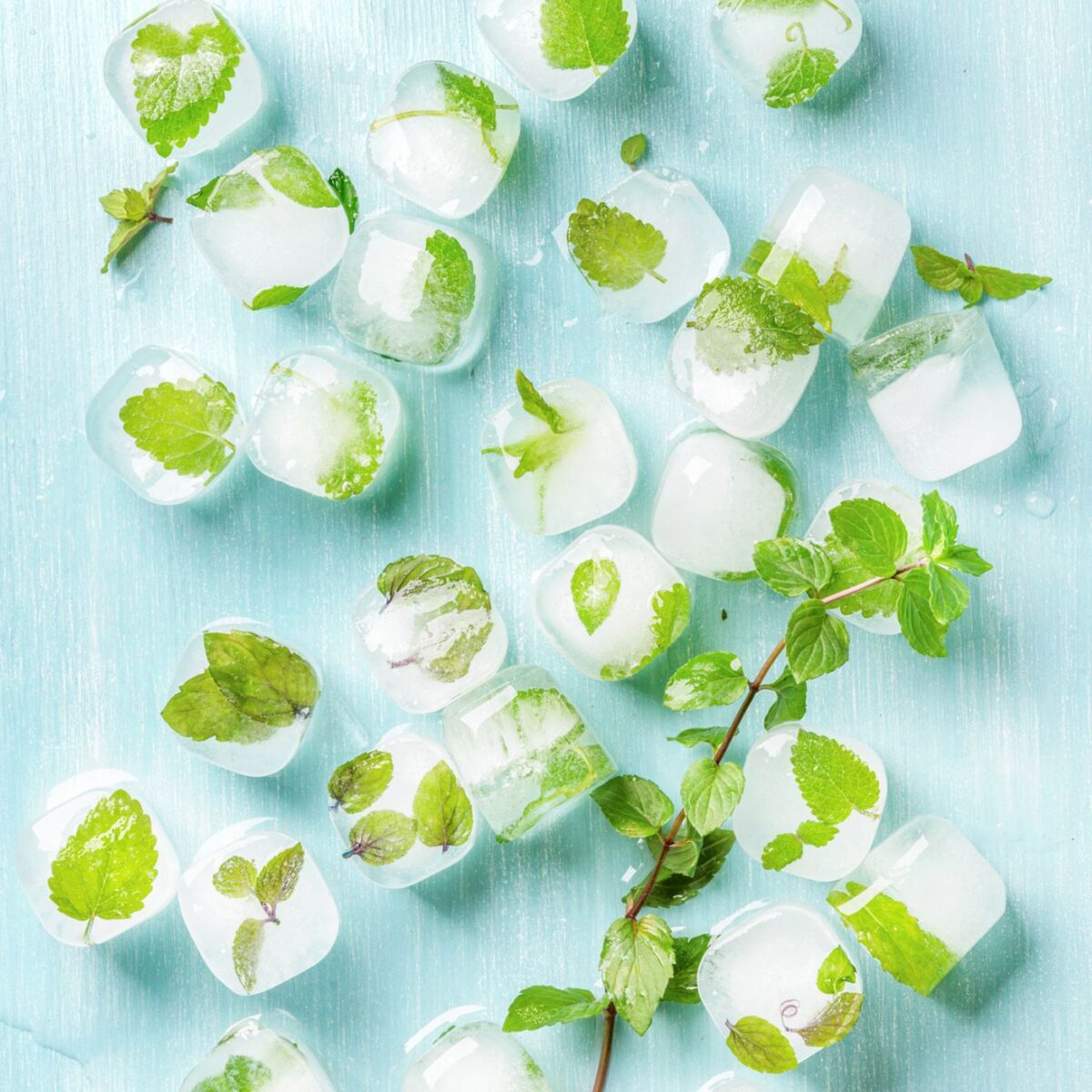 How to Store Mint: Storing, Drying, and Freezing | Montana Happy