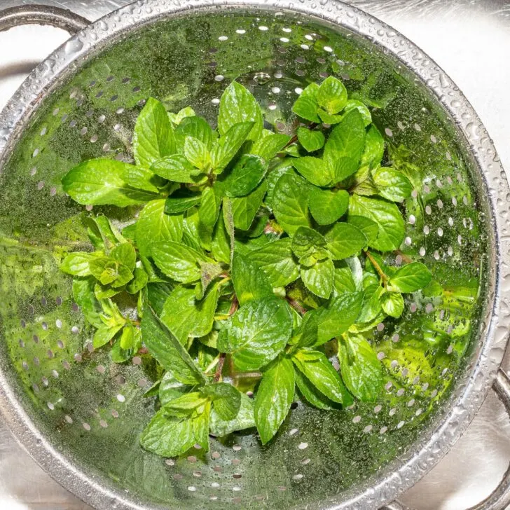 How to Store Mint: Storing, Drying, and Freezing | Montana Happy