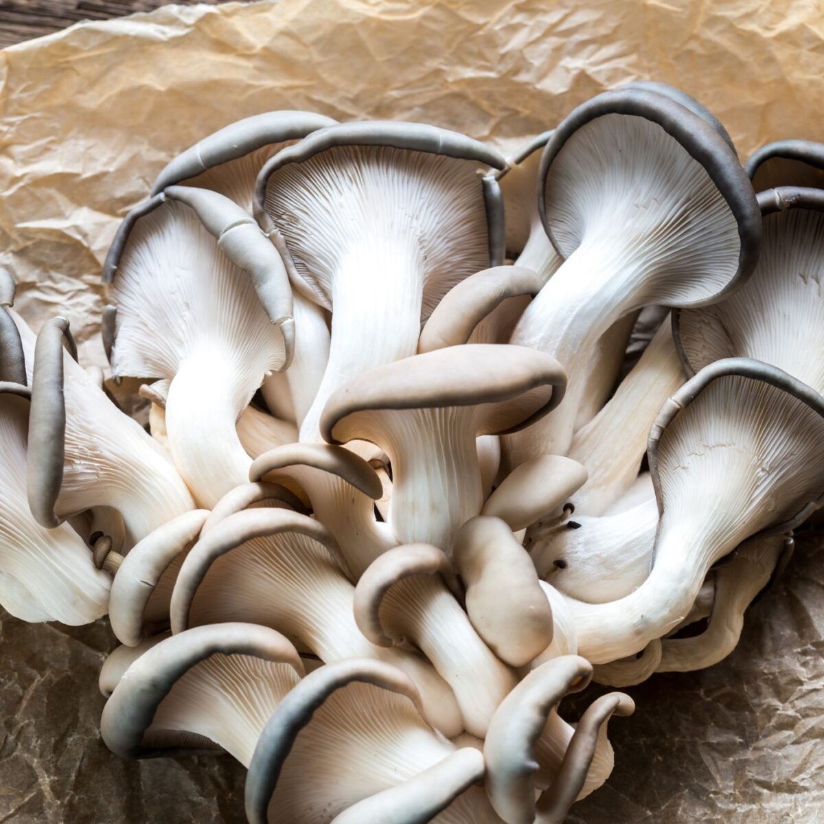 Are Mushrooms Vegetables? | Montana Happy