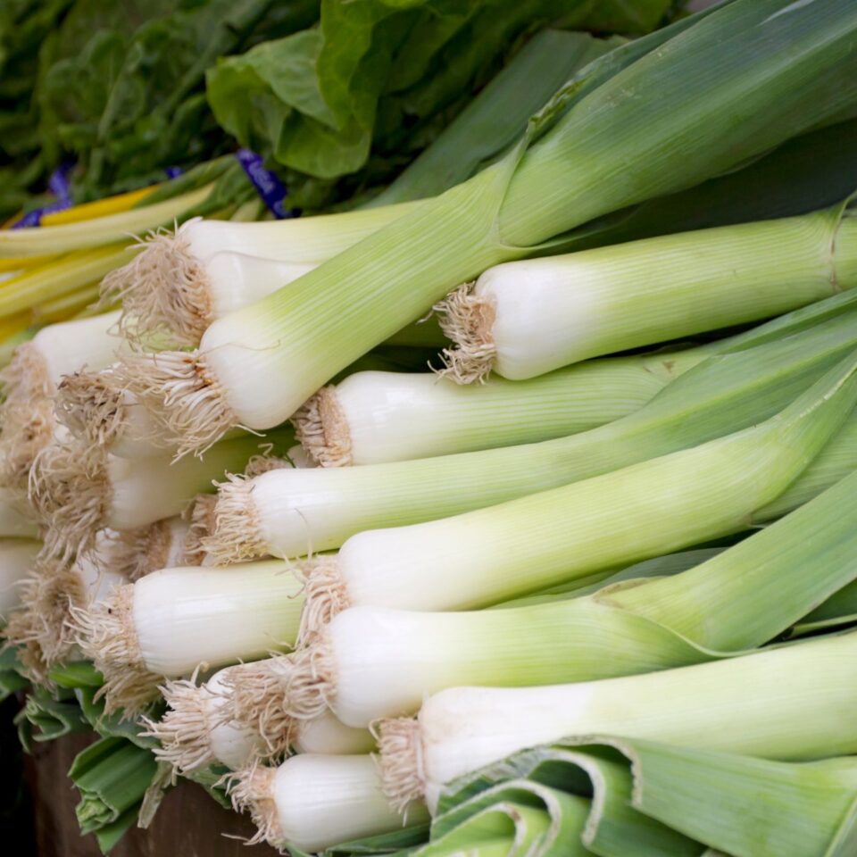 Leeks: How to Buy, Store, Cut & Cook | Montana Happy