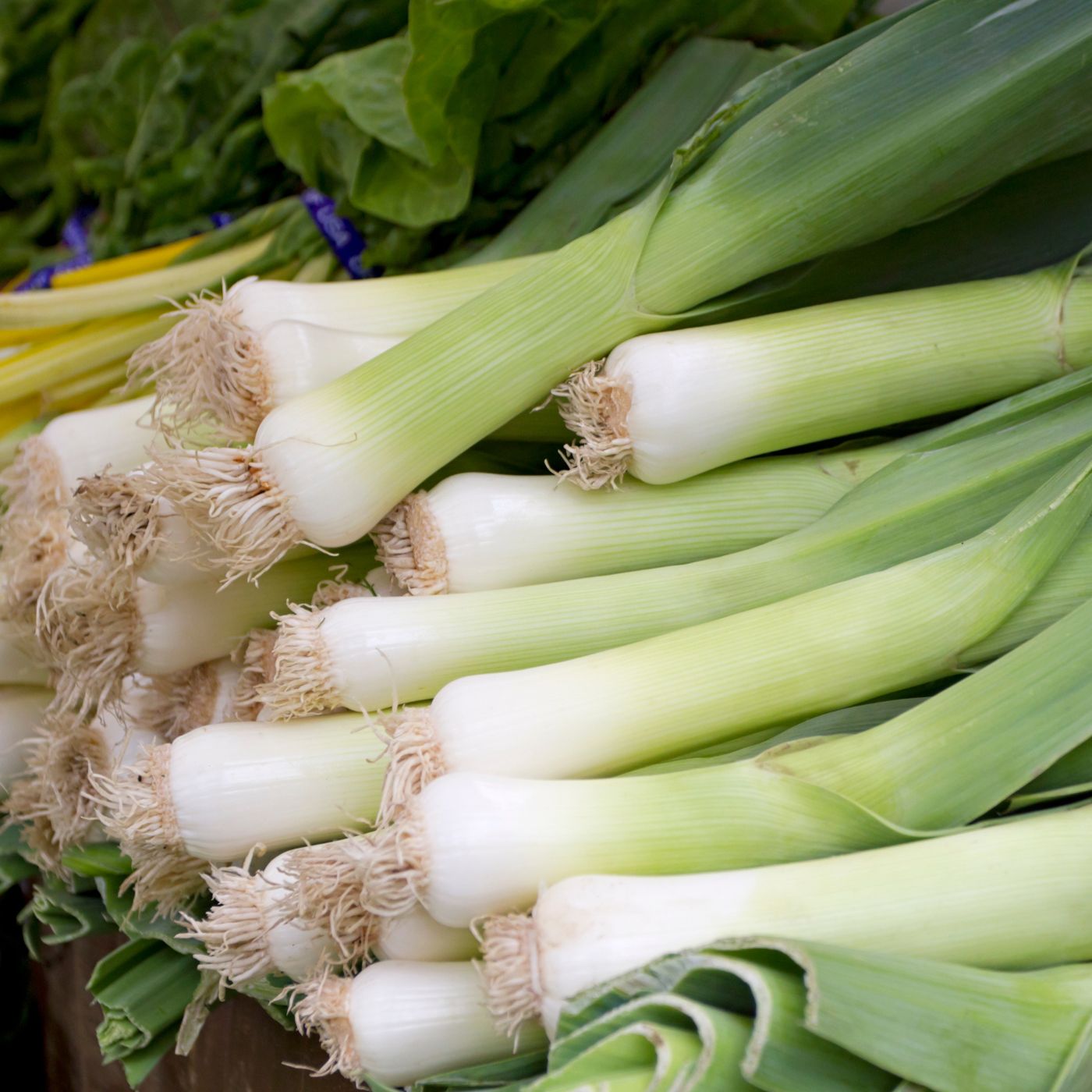 Leeks: How to Buy, Store, Cut & Cook | Montana Happy