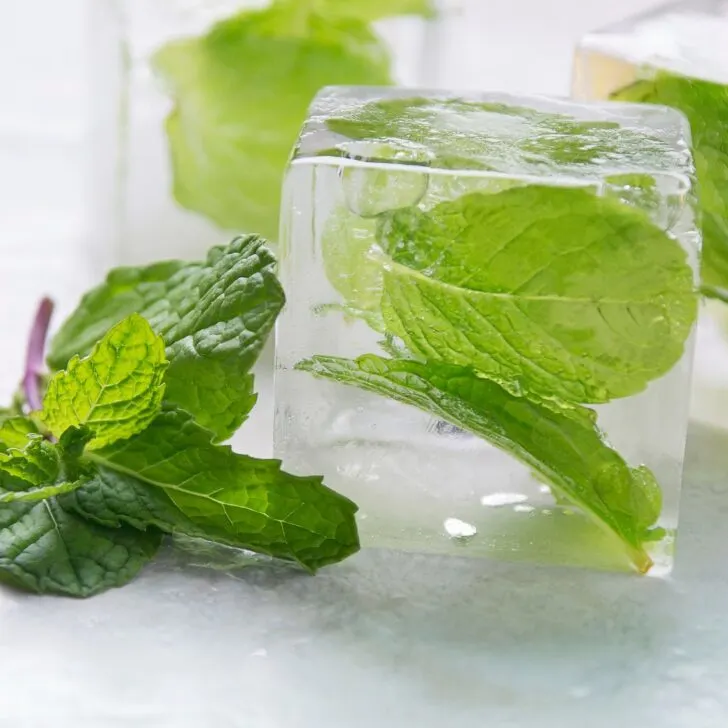 What to do with Mint Leaves? LOTS of IDEAS!!! - Montana Happy