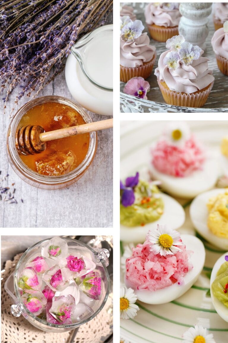 The BEST Edible Flowers to Grow | Montana Happy