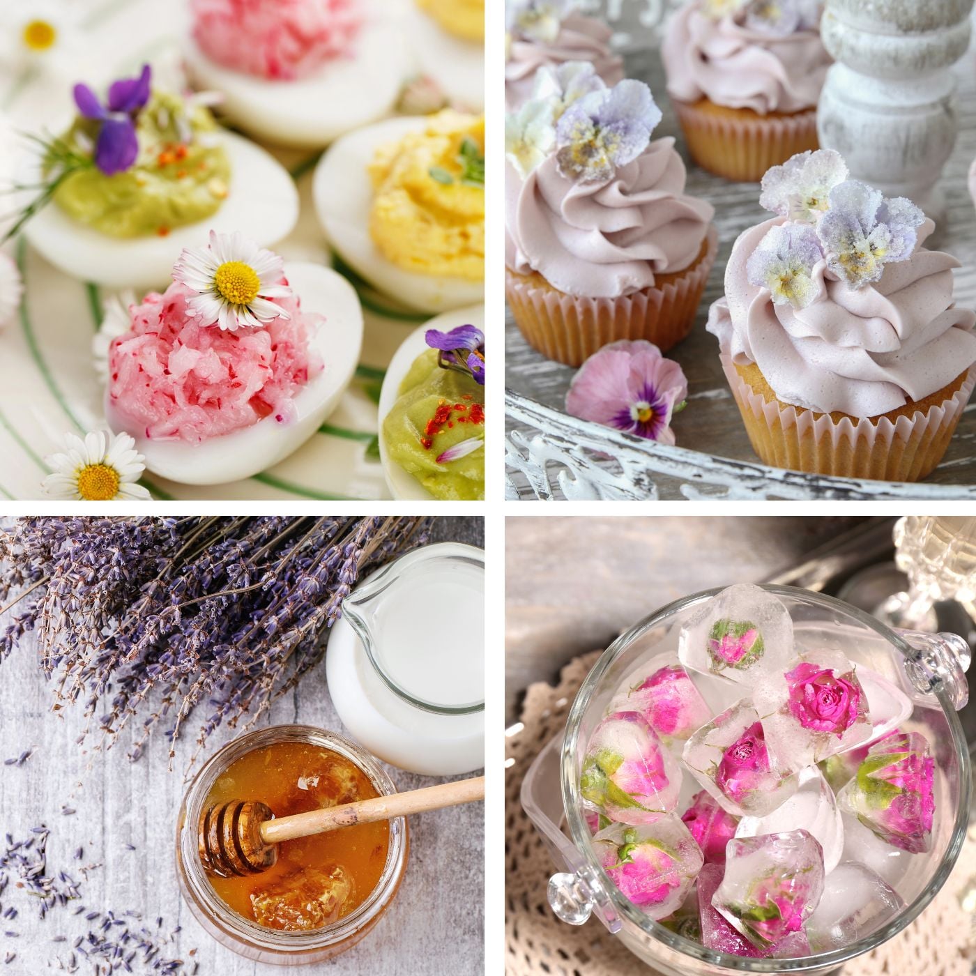 The BEST Edible Flowers to Grow | Montana Happy