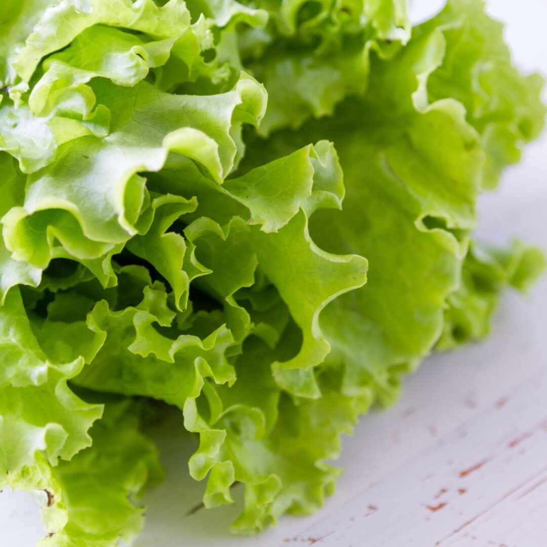 Different Types of Lettuce + Uses | Montana Happy